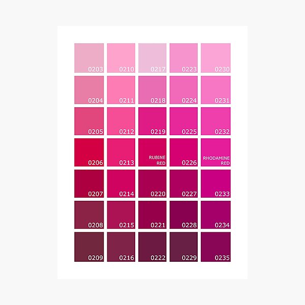 "Shades of Pink Pantone" Photographic Print for Sale by rogue-design ...