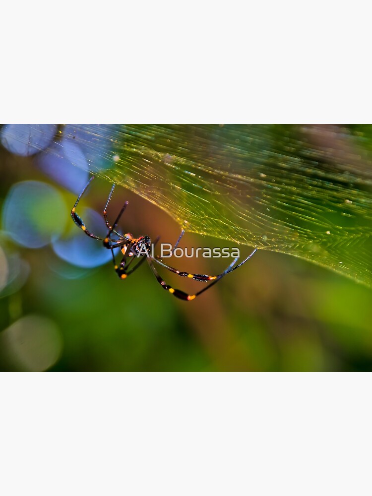 "Sticky Feet Have Their Uses" Poster for Sale by alabca | Redbubble