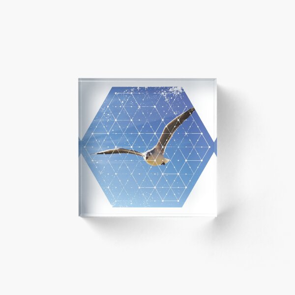 "Nature and Geometry - The Seagull" Acrylic Block by ddtk | Redbubble