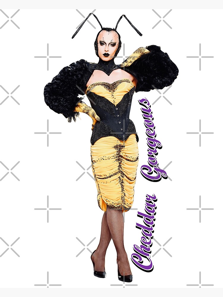 "Cheddar Gorgeous Drag race" Poster for Sale by davedonut | Redbubble