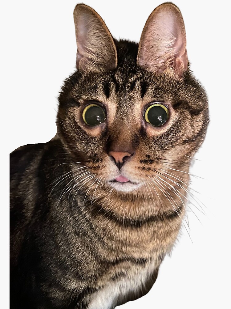 "no thoughts head empty" Sticker for Sale by oldboypeanutt | Redbubble