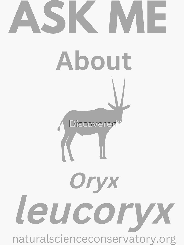 "Ask Me About Oryx leucoryx (Arabian Oryx)" Sticker for Sale by Discovered | Redbubble