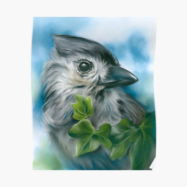 "Tufted Titmouse Bird with Ivy Leaves" Poster for Sale by MMAndersonArt ...