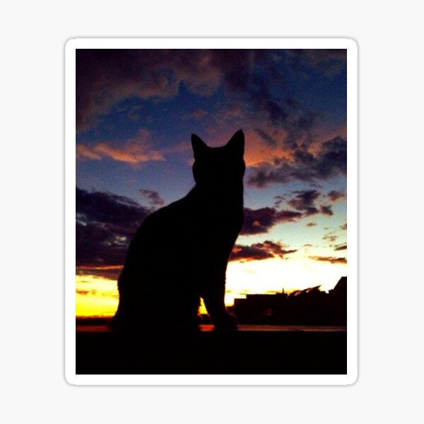 "Meditation Cat Watching Sunset" Sticker for Sale by tiedyeshirt ...
