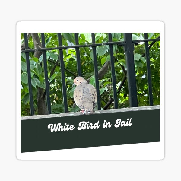 "White Bird in Jail " Sticker for Sale by sonjarob | Redbubble