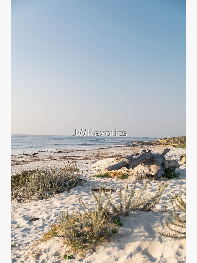 "sandy " Poster by JWKexotics | Redbubble