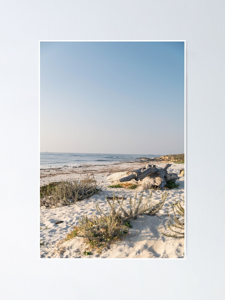"sandy " Poster by JWKexotics | Redbubble