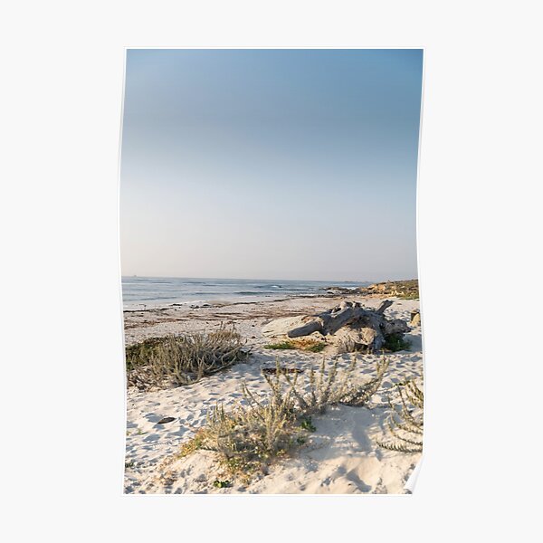 "sandy " Poster by JWKexotics | Redbubble