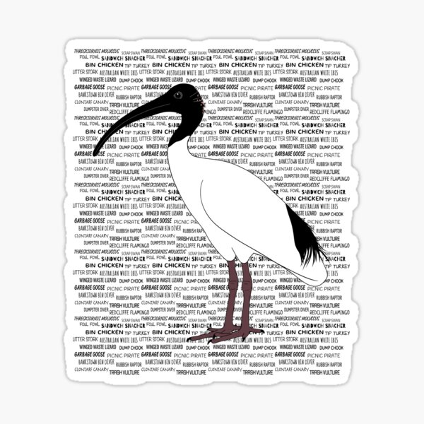 "Bin Chicken Nicknames" Sticker for Sale by BinChickenBaby | Redbubble