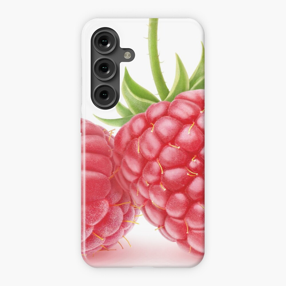 "Raspberries" Sticker for Sale by 6hands | Redbubble