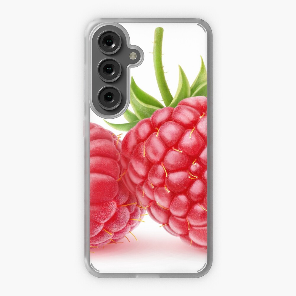 "Raspberries" Sticker for Sale by 6hands | Redbubble