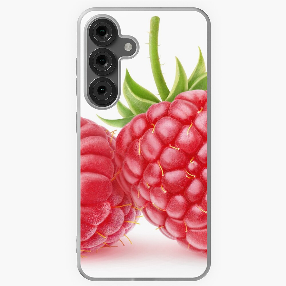 "Raspberries" Sticker for Sale by 6hands | Redbubble