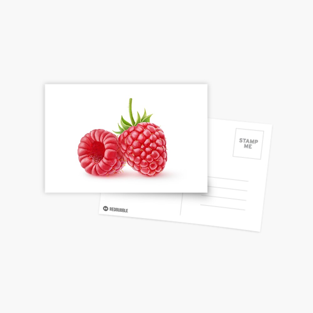 "Raspberries" Sticker for Sale by 6hands | Redbubble