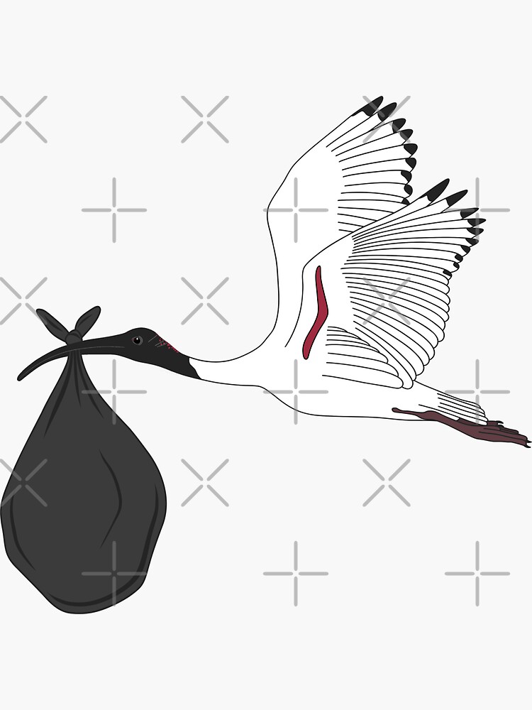 "Bin Chicken Delivering Rubbish" Sticker for Sale by BinChickenBaby ...