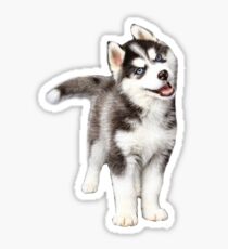 Husky Stickers | Redbubble
