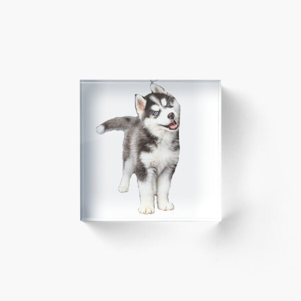 Husky Gifts & Merchandise | Redbubble