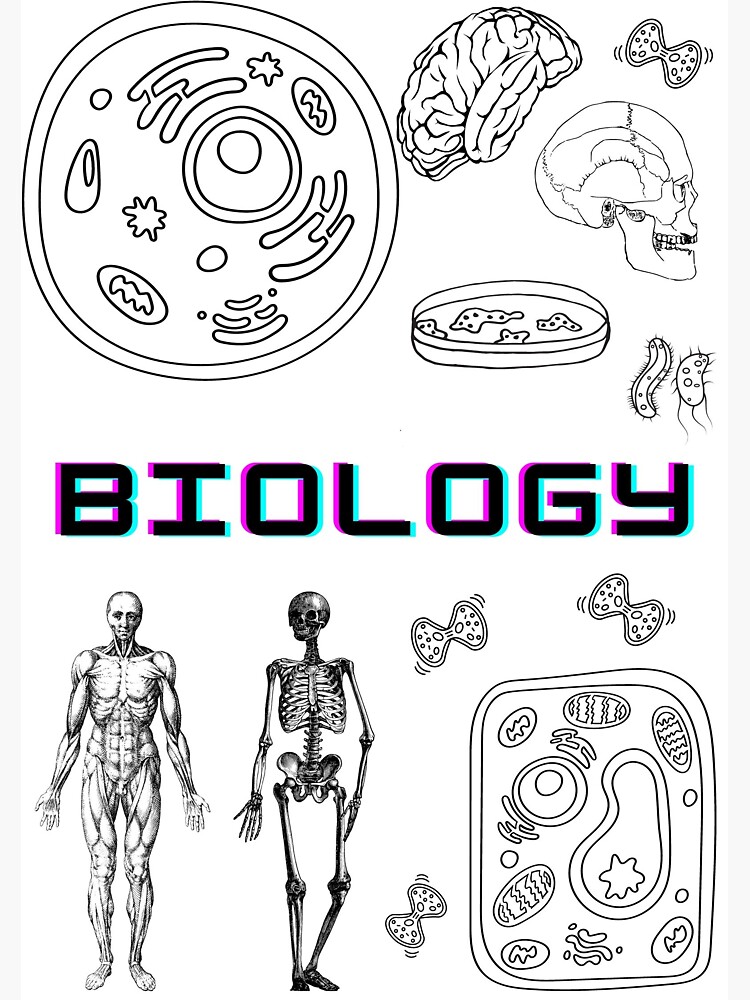 ""Biology" Digital Art" Sticker for Sale by StudioArtsyFind | Redbubble