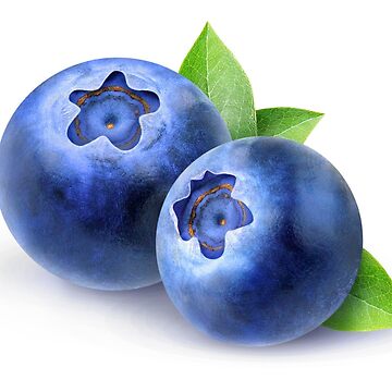 "Two blueberries" Sticker for Sale by 6hands | Redbubble
