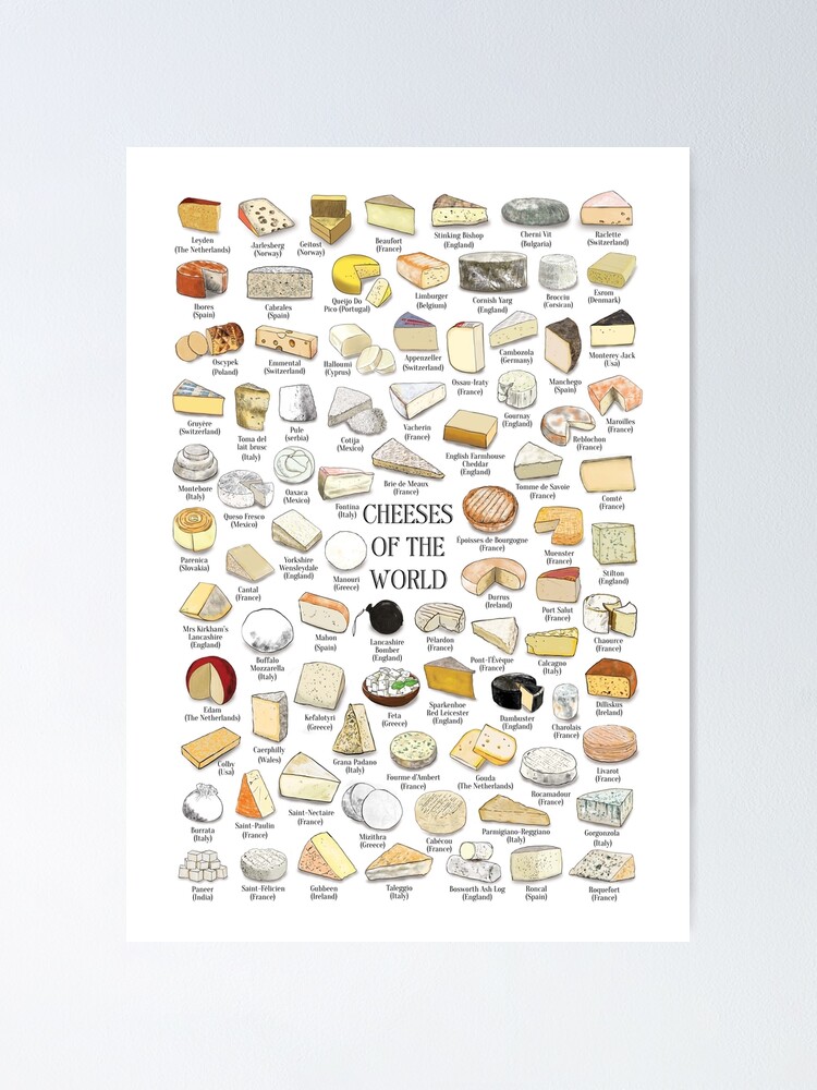 "Cheeses of the World" Poster for Sale by Highdown73 | Redbubble