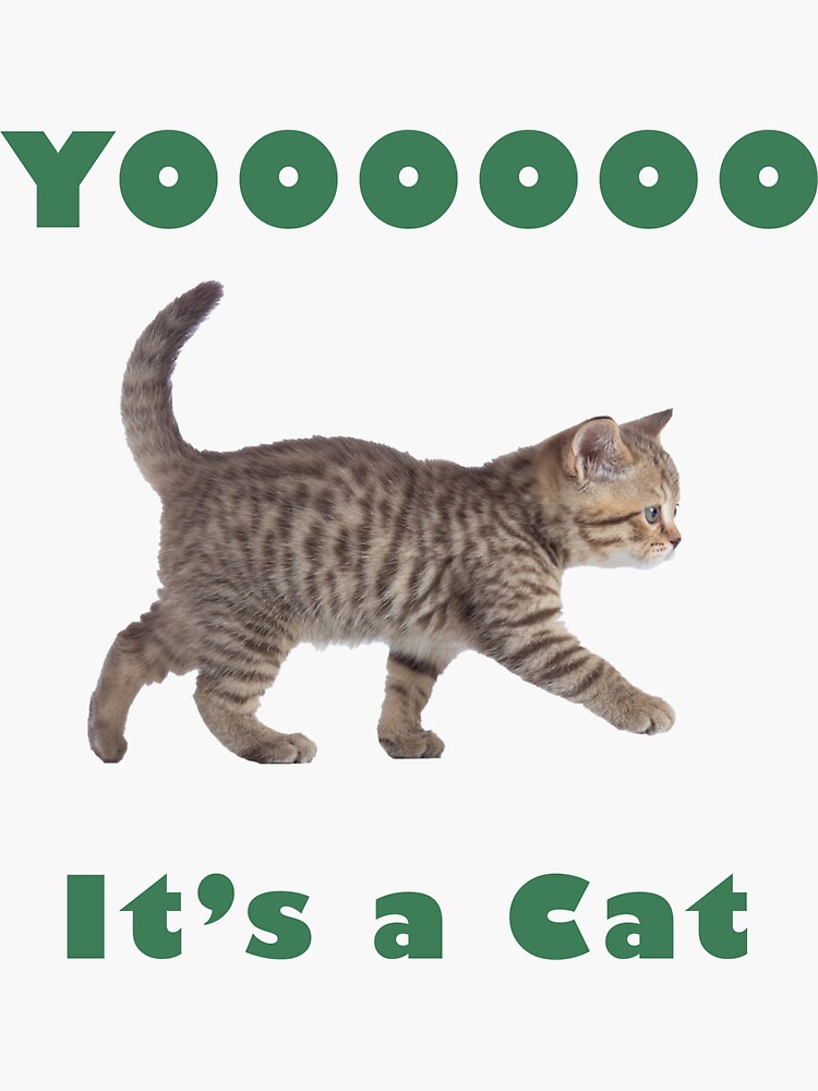 "YOOOOOO It's a Cat MEME" Sticker for Sale by SmallElijah5 | Redbubble