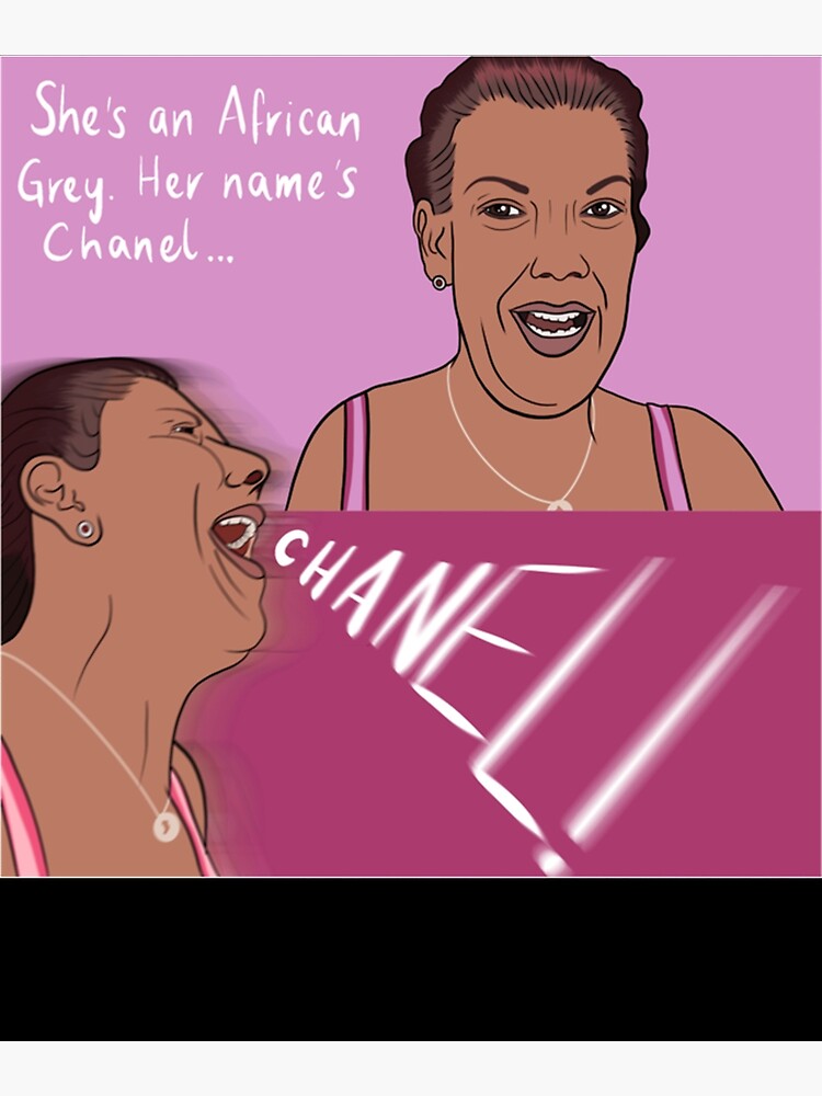 "African Grey parrot Chanel meme " Poster for Sale by JuanLazo5 | Redbubble