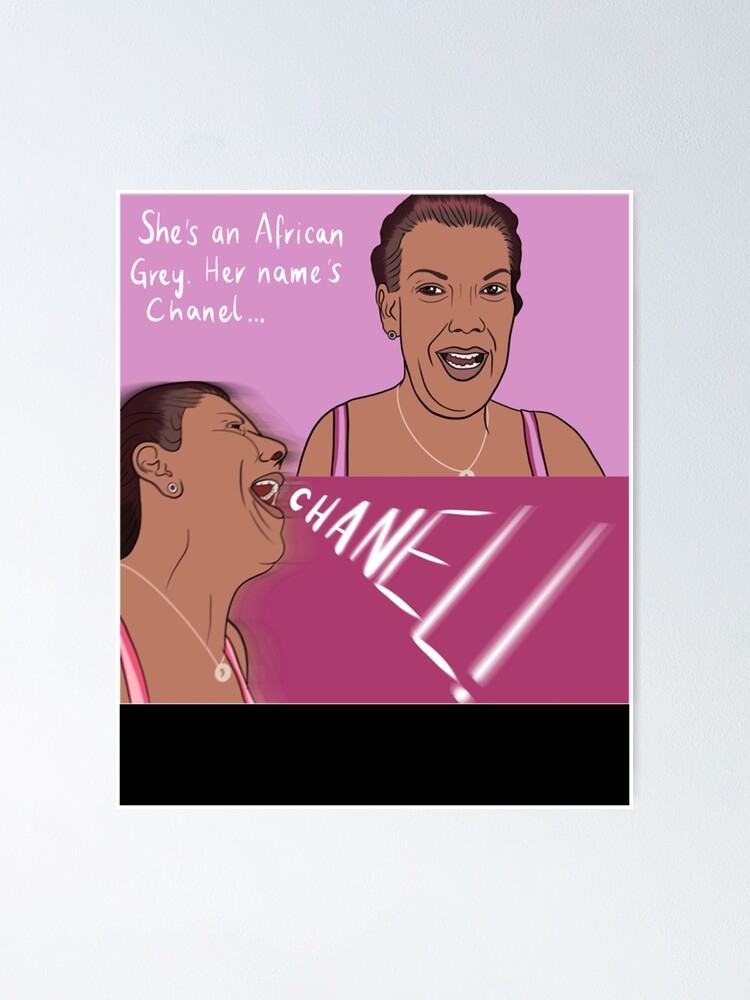 "African Grey parrot Chanel meme " Poster for Sale by JuanLazo5 | Redbubble