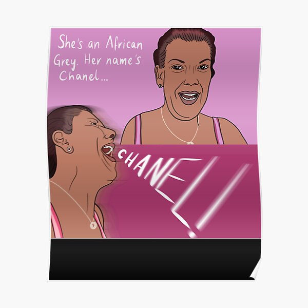 "African Grey parrot Chanel meme " Poster for Sale by JuanLazo5 | Redbubble