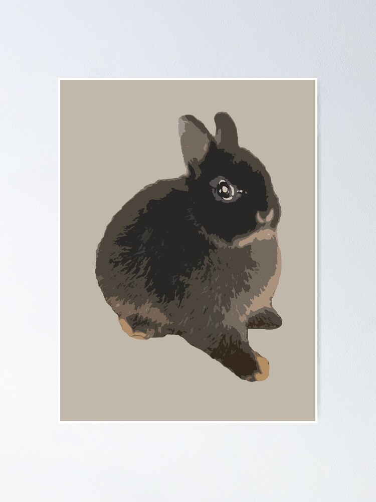 "Binky Rabbit Black Otter Netherland Dwarf Rabbit " Poster for Sale by ...
