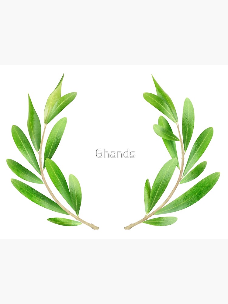 "Two olive branches" Framed Art Print for Sale by 6hands | Redbubble