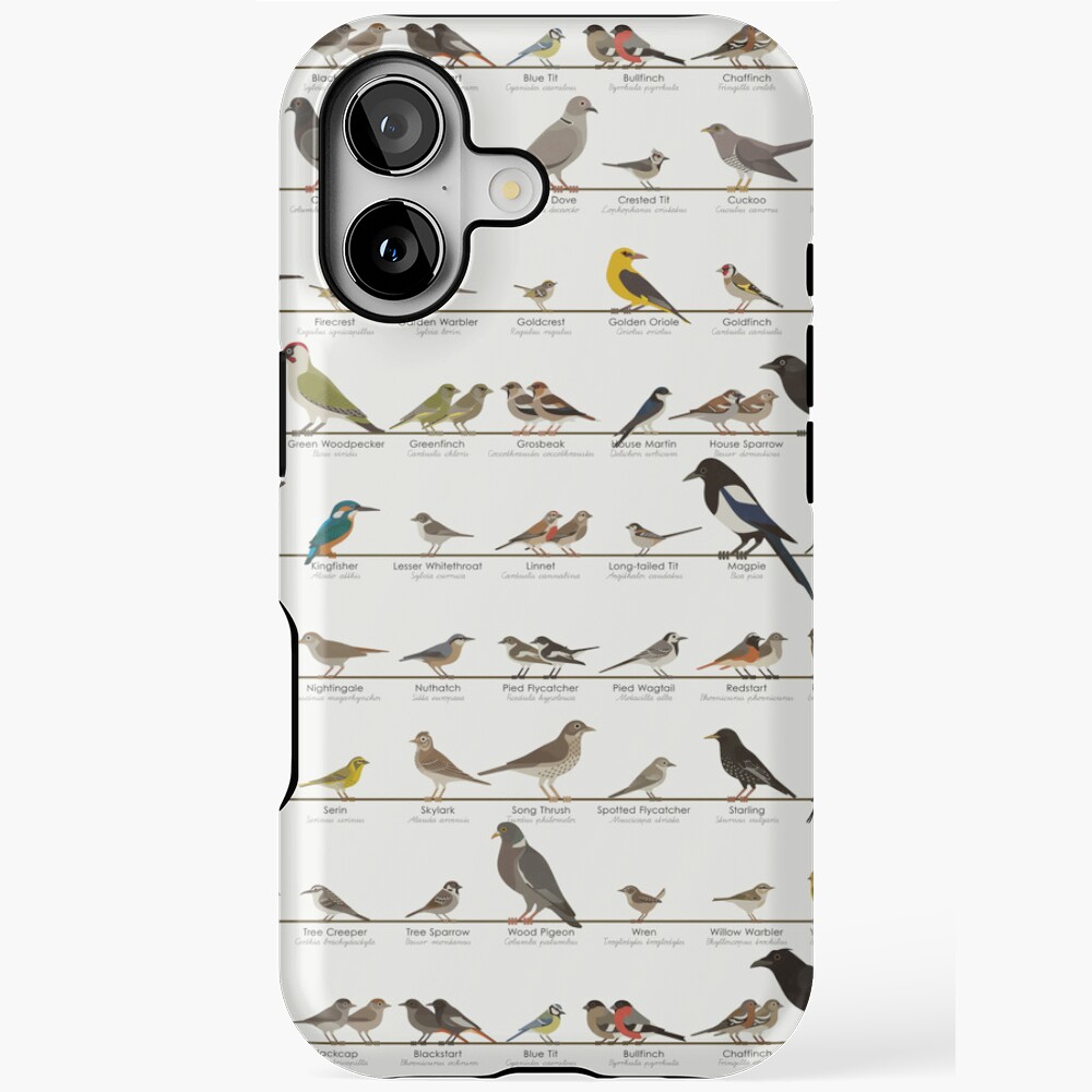 "European Songbird or Garden Bird Identification ID Chart" Photographic ...
