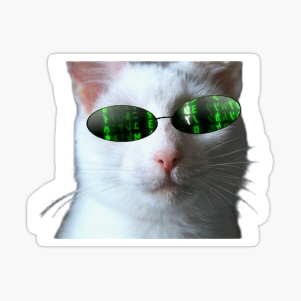 "Cat in the matrix" Sticker for Sale by Theghostcat1 | Redbubble