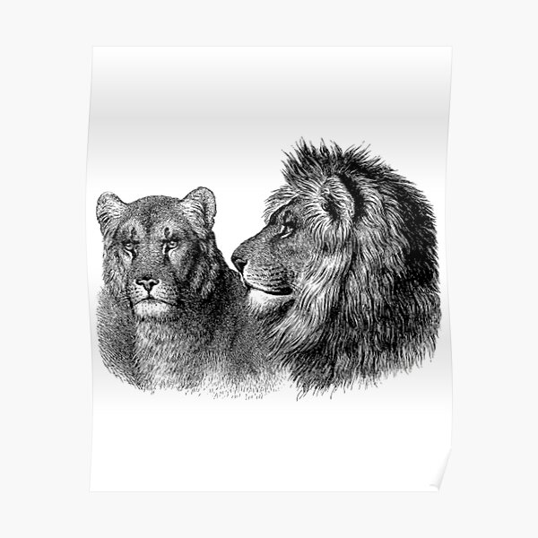 "The Lion Art" Poster for Sale by Dayastores | Redbubble