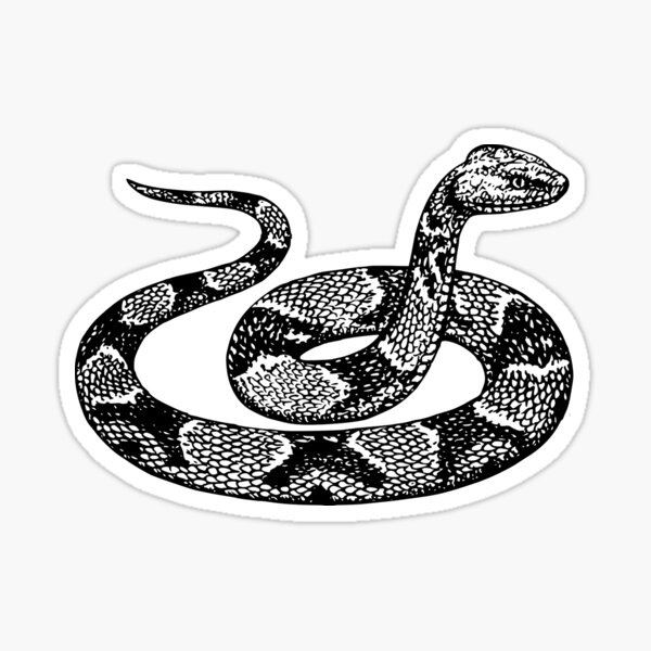 "snake" Sticker by MadEDesigns | Redbubble