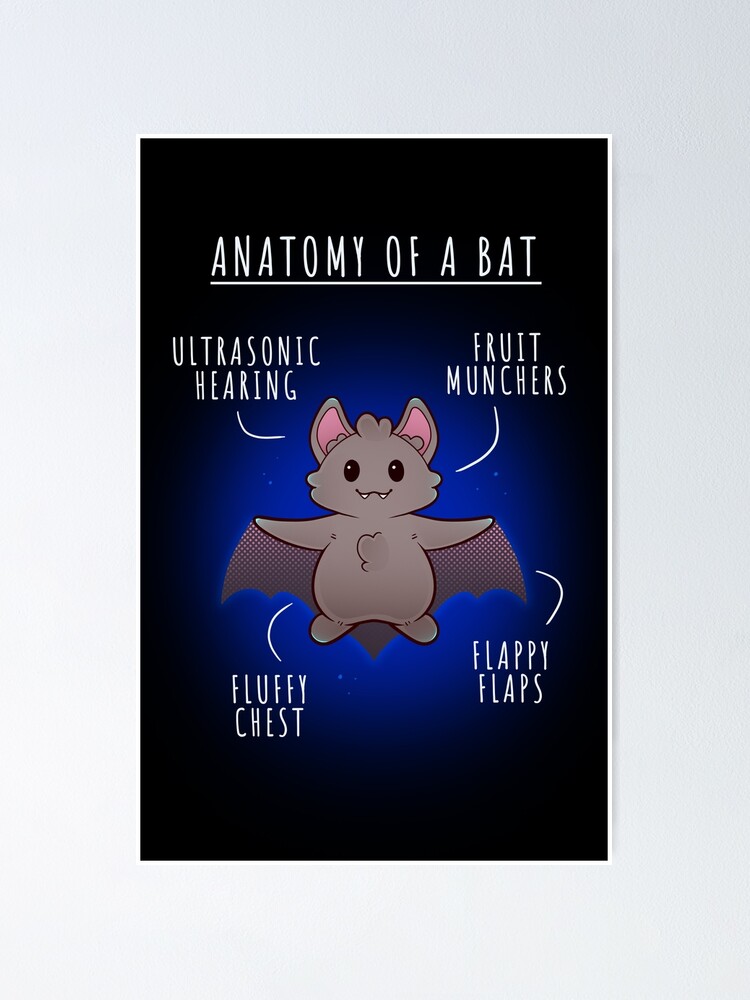 "Anatomy of a bat, Cute halloween bat" Poster for Sale by ...