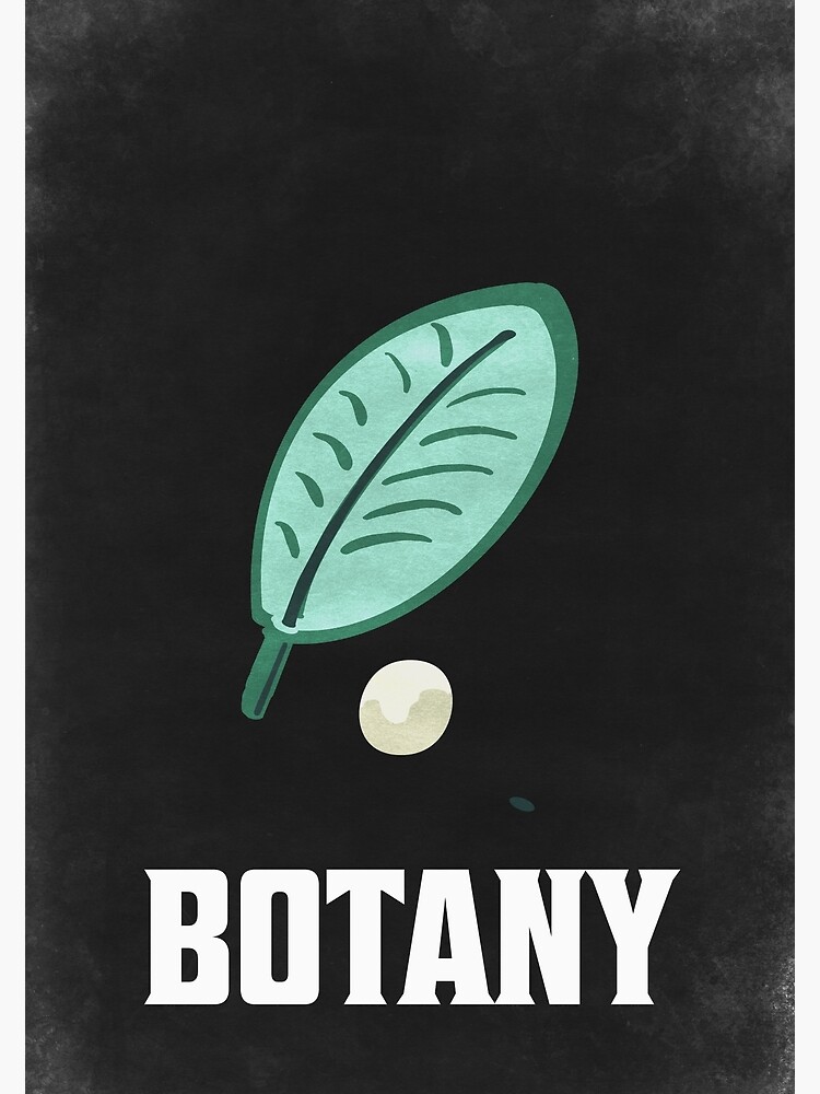 "Vintage Education Botany Poster" Poster for Sale by DrawnToDoodles ...