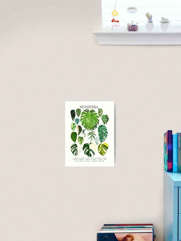 "Monstera | Types of Monstera | Plant Lover print" Art Print for Sale ...