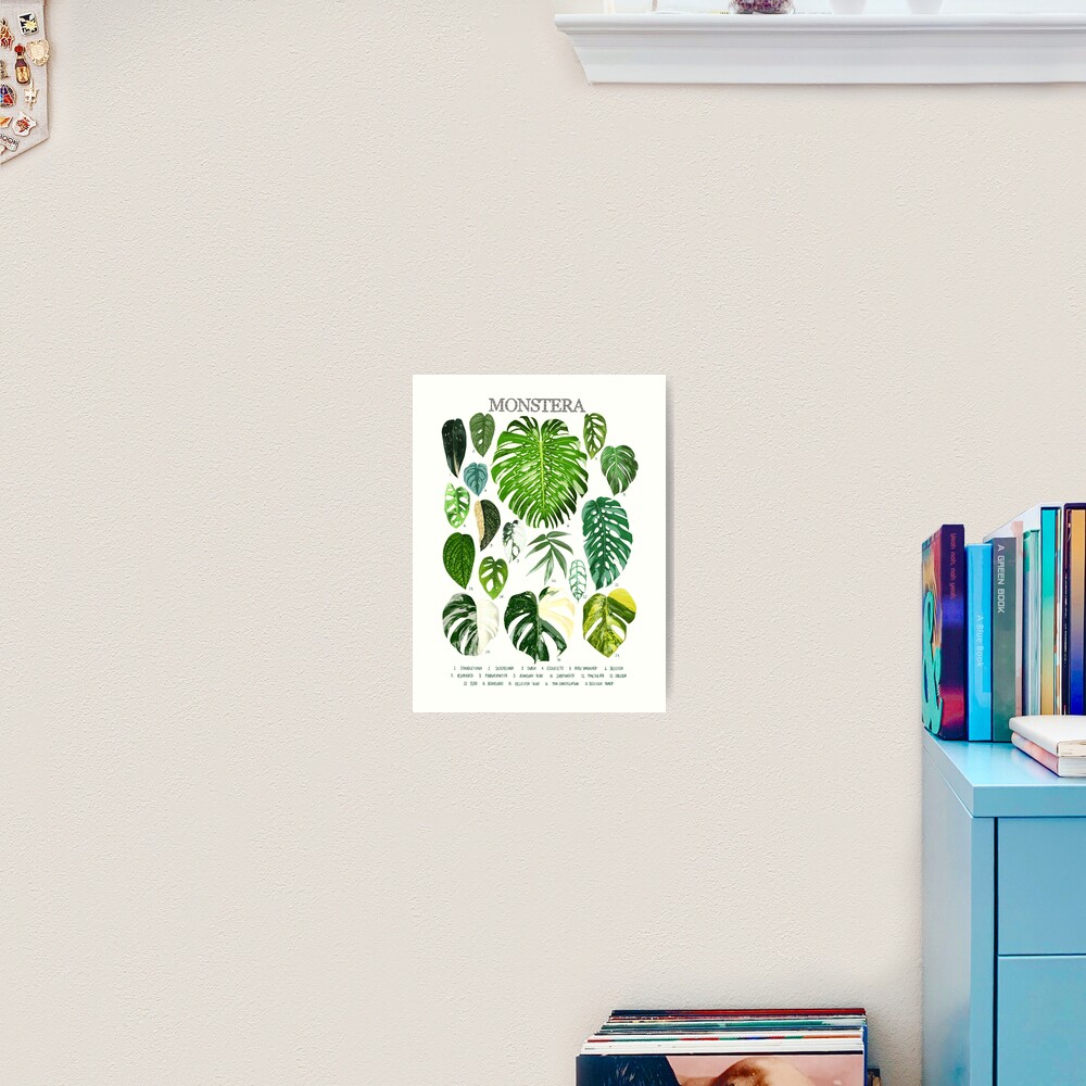 "Monstera | Types of Monstera | Plant Lover print" Greeting Card for ...