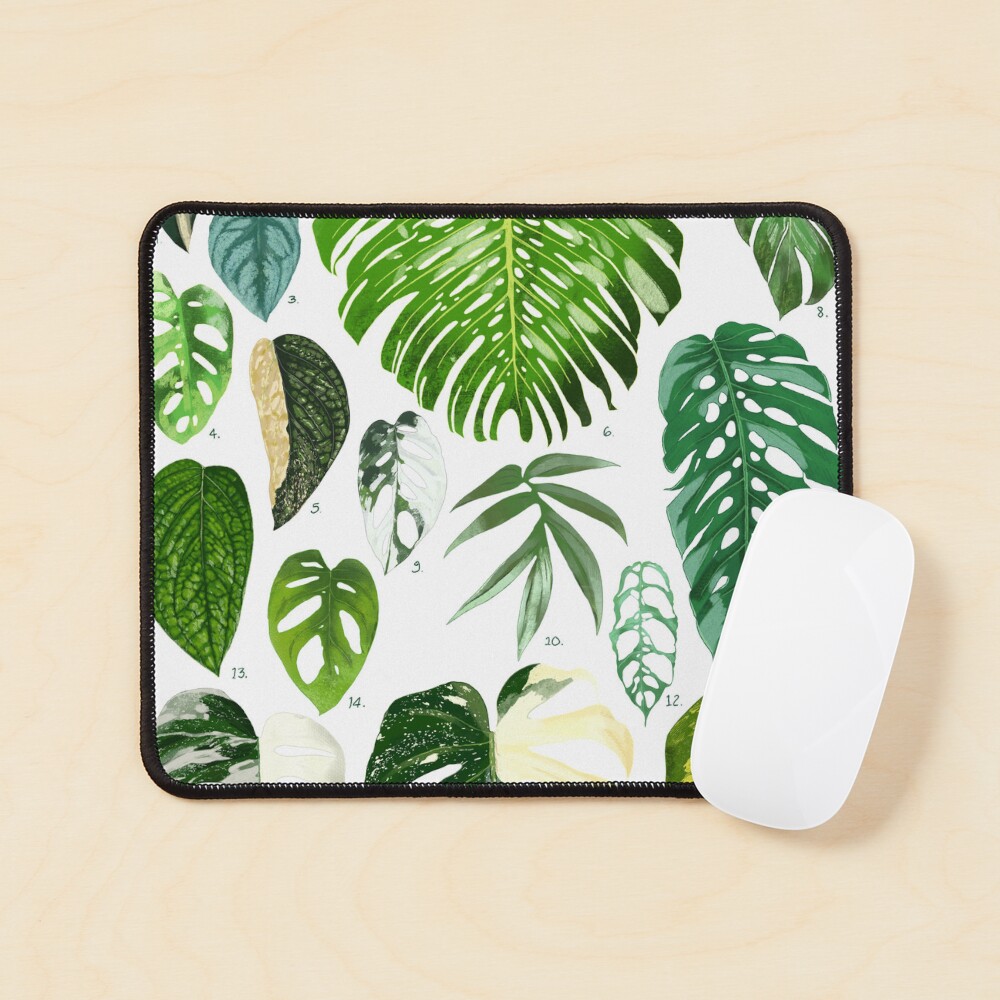 "Monstera | Types of Monstera | Plant Lover print" Greeting Card for ...