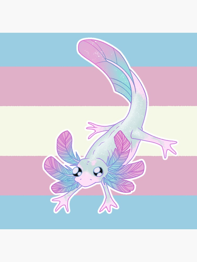 "Cotton Candy Swirl (Trans) - Less Discreet Pride Axolotls" Sticker for ...