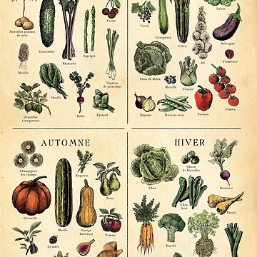"FRENCH Seasonal Fruit and Veg Chart " Photographic Print for Sale by ...
