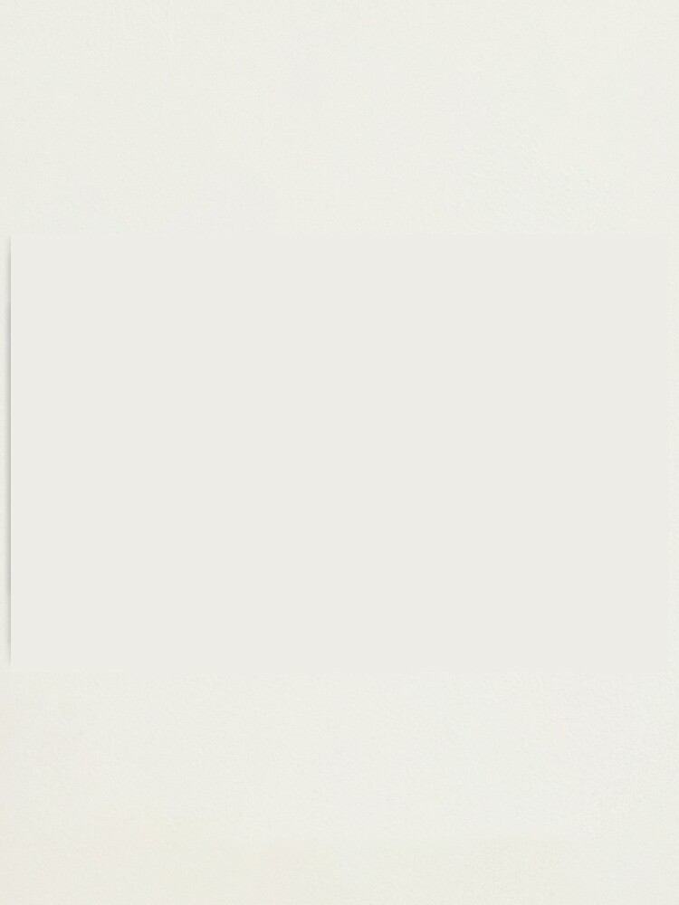 Lámina fotográfica «Ultra claro gris claro - pares de color sólido gris ...