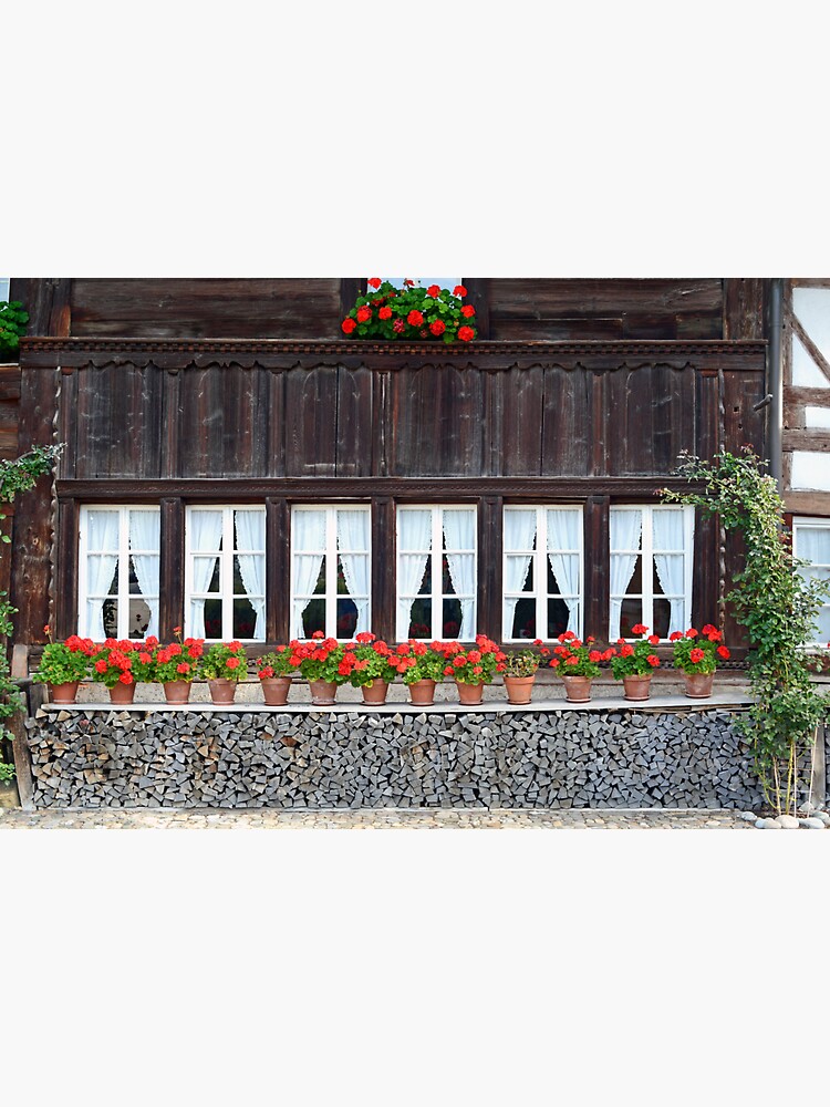 "Swiss Windows" Sticker for Sale by AlexaZari | Redbubble