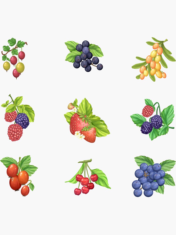 "Berry Sticker Set" Sticker for Sale by MonkeyBizness | Redbubble