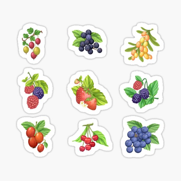 "Berry Sticker Set" Sticker for Sale by MonkeyBizness | Redbubble