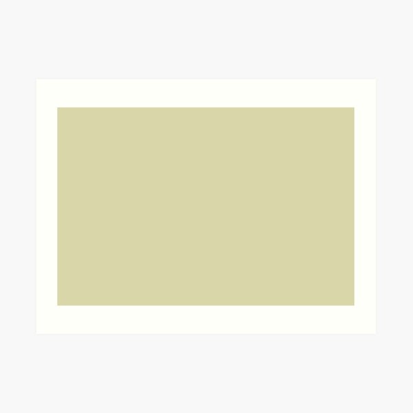 "Pastel Green Solid Color Pairs Dulux 2023 Trending Shade Wasabi S17E2 ...