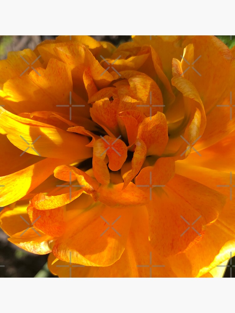 "Fall Fire Flame" Sticker for Sale by Photomersion | Redbubble