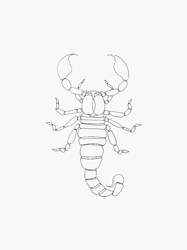 "Scorpion outline" Sticker for Sale by CarterCricket | Redbubble