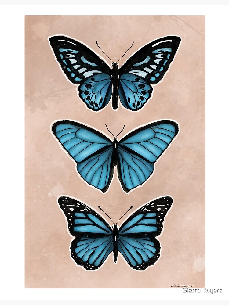 "Triple Blue Butterflies" Poster for Sale by sierramyers | Redbubble