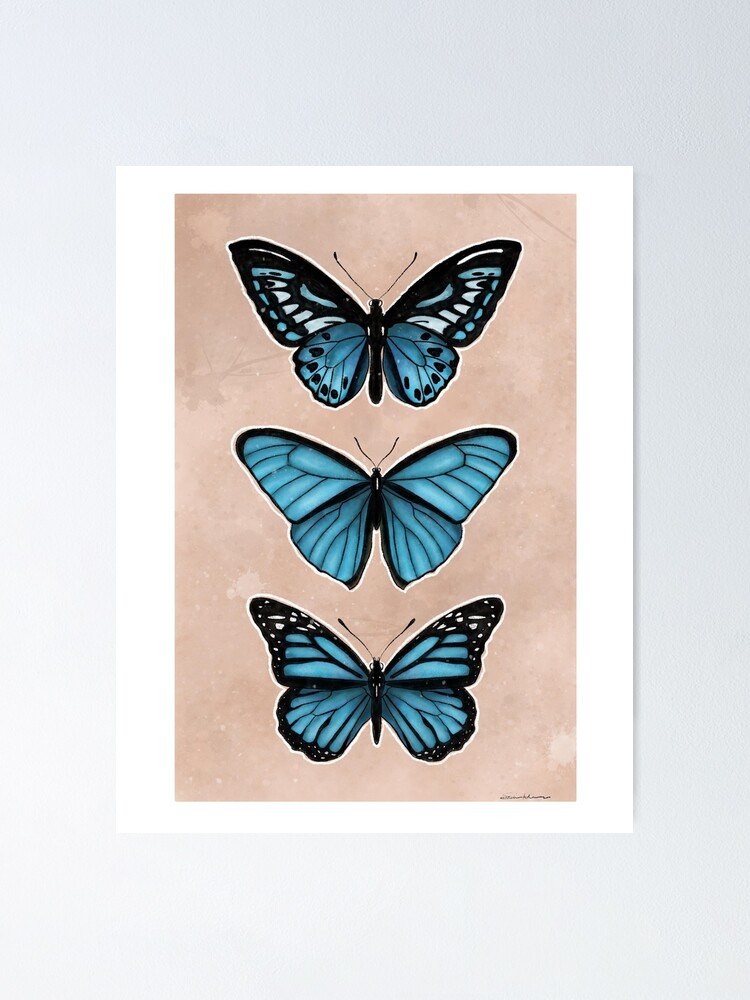 "Triple Blue Butterflies" Poster for Sale by sierramyers | Redbubble