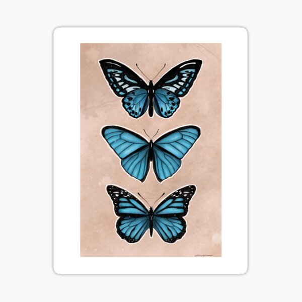 "Triple Blue Butterflies" Sticker for Sale by sierramyers | Redbubble